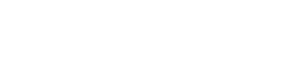 R9 MK1 - Sterling Arms International