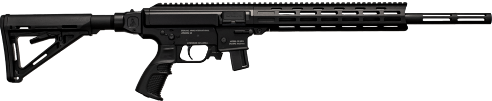 Landing Page - Sterling Arms International